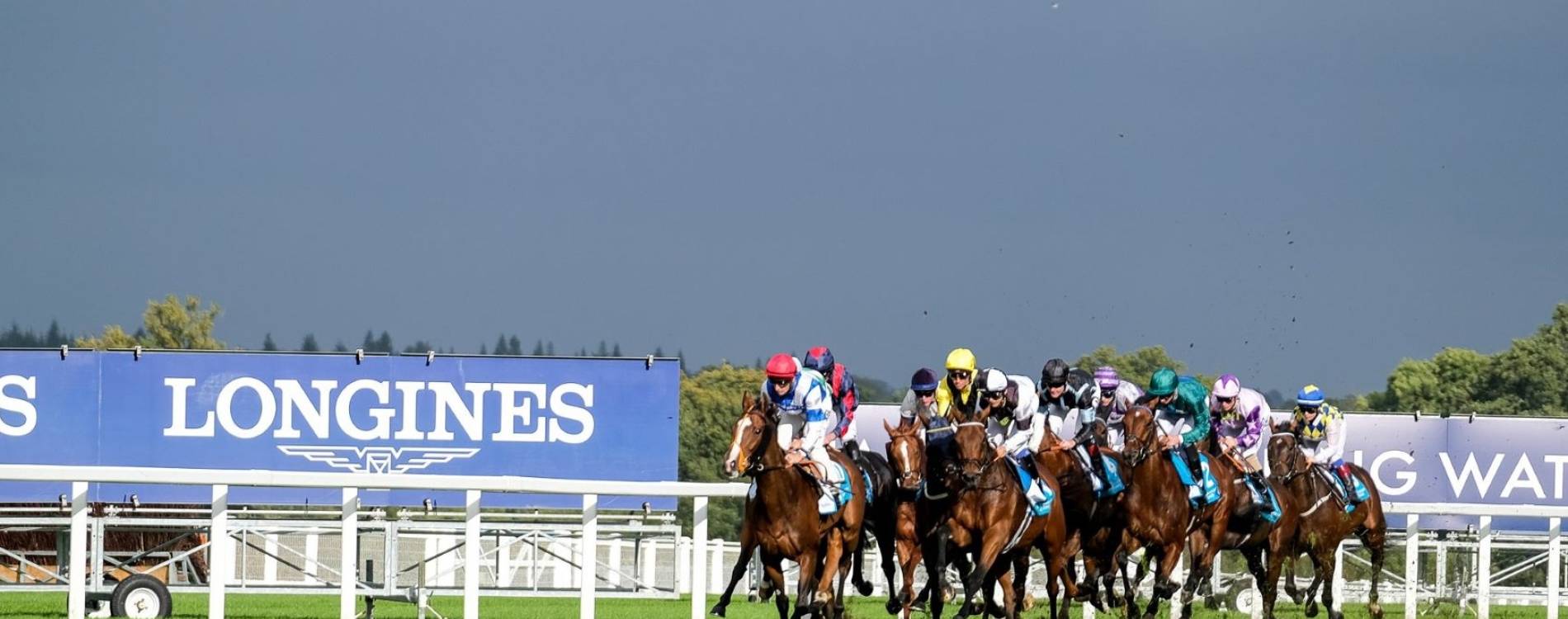 Autumn Racing Weekend Tickets | 3-4 Oct 2025 | Ascot Racecourse | Koobit