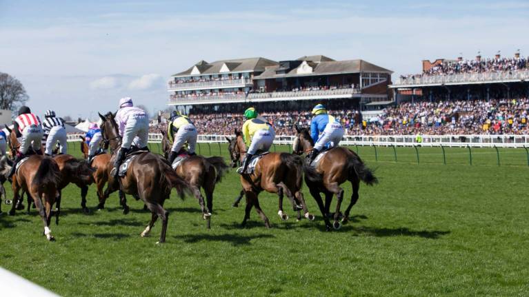 July Racing Weekend Tickets | 7-8 Jul 2024 | Ayr Racecourse | Koobit