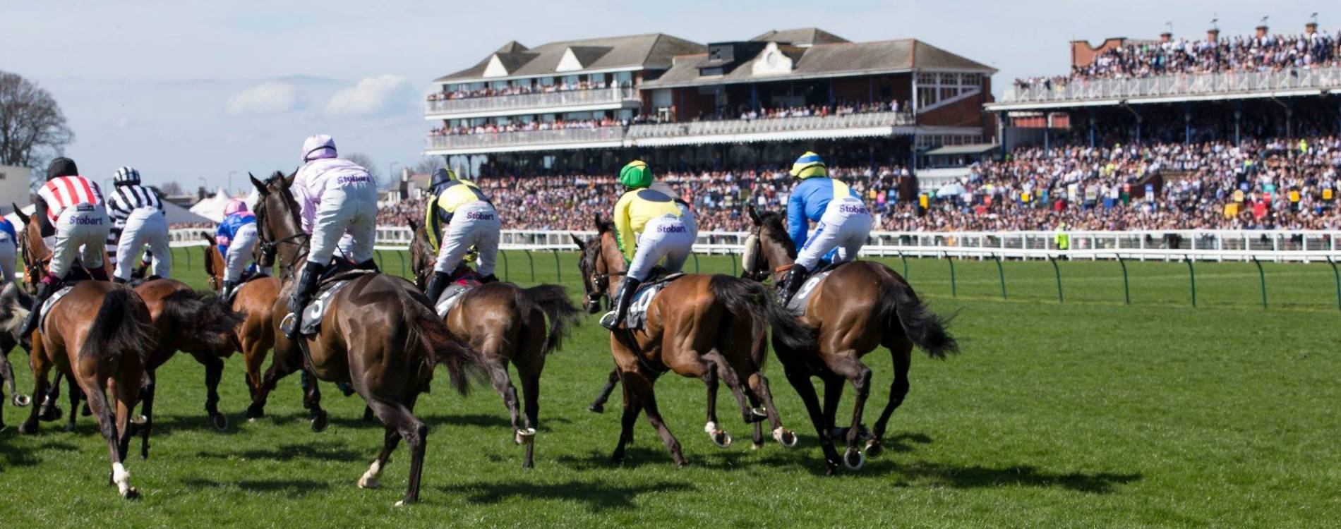 Glasgow Fair Family Raceday Tickets | 21 Jul 2025 | Ayr Racecourse | Koobit