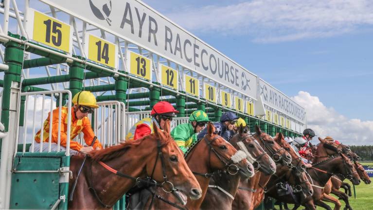 Ayr Gold Cup Festival | 19-21 Sep 2024 | Ayr Racecourse | Koobit
