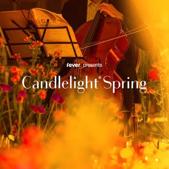 Candlelight Spring: Tribute to Taylor Swift Tickets | 14 Nov 2025 | The ...