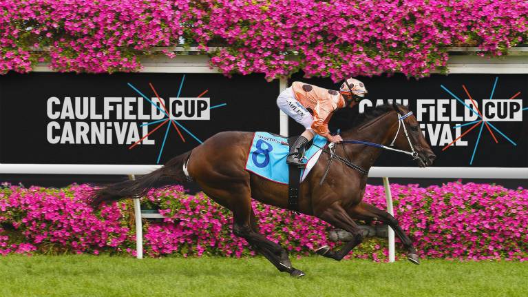 Caulfield Racecourse Events & Tickets 2024-25 - Melbourne | Koobit