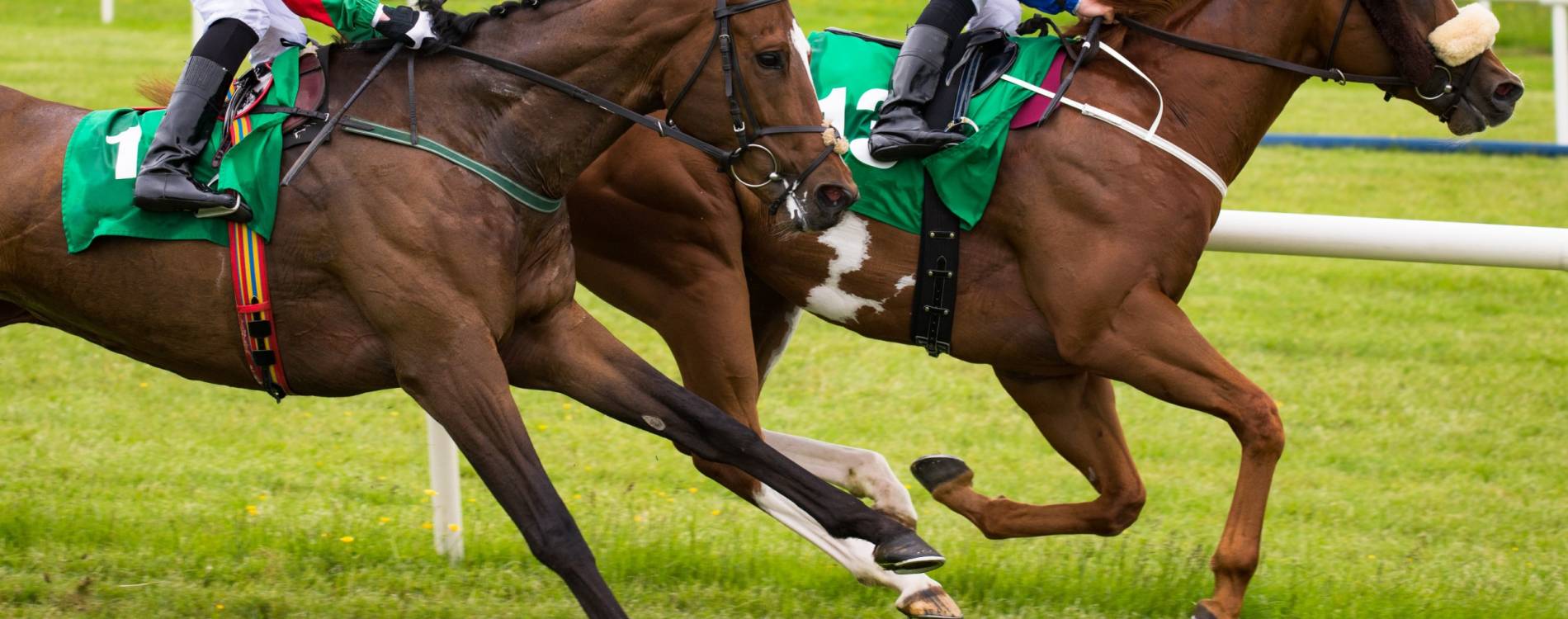 Curlin Tickets | 24 Jul 2025 | Saratoga Race Course | Koobit