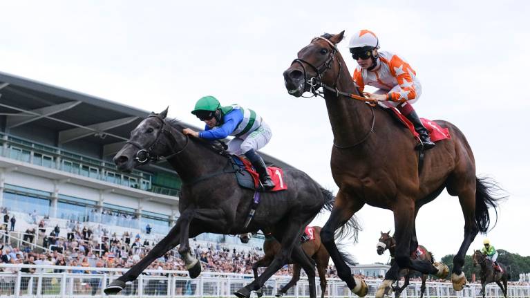 London Horse Racing Tickets | London Horse Racing Events, Schedule ...