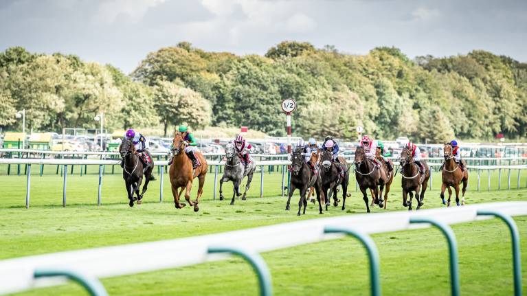 Haydock Park Racecourse Events & Tickets 2025-26 - Newton-le-Willows ...