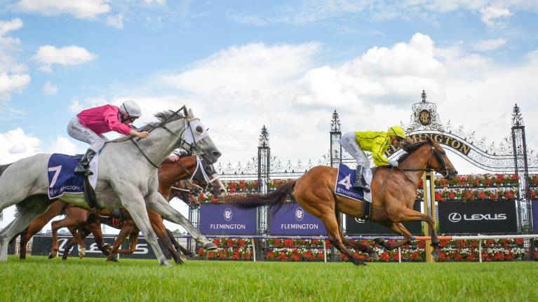 Flemington Racecourse Events & Tickets 2025-26 - Melbourne | Koobit