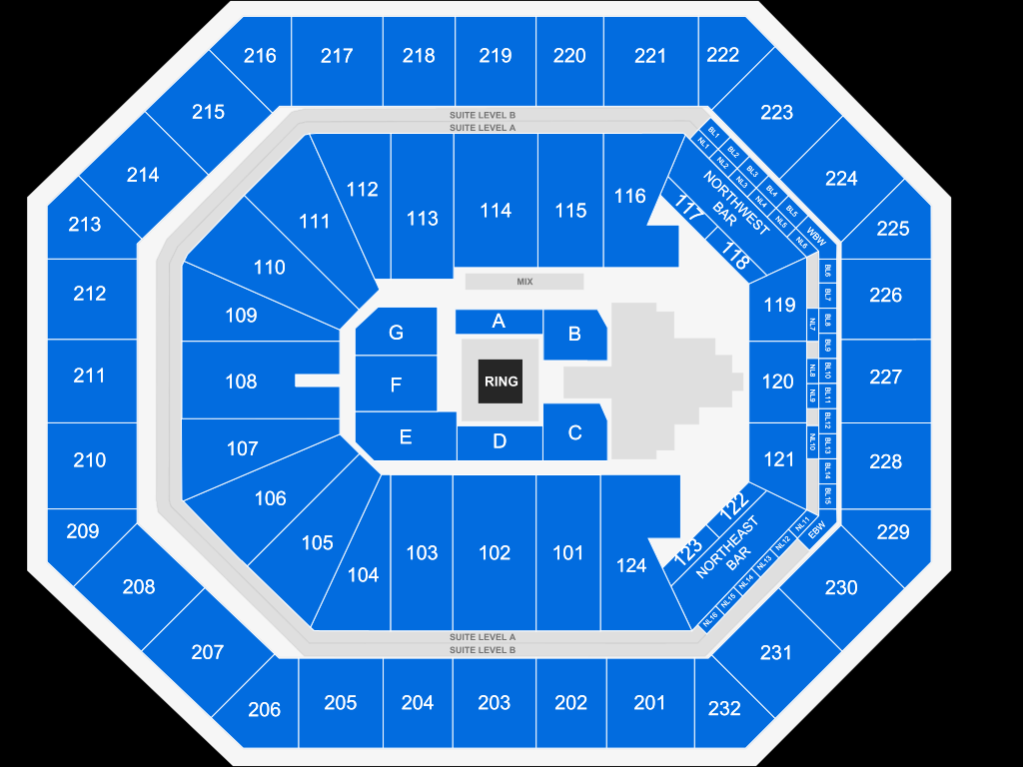 Upper (200 Level) | Friday Night SmackDown: Phoenix | 3 Jan 2025 ...