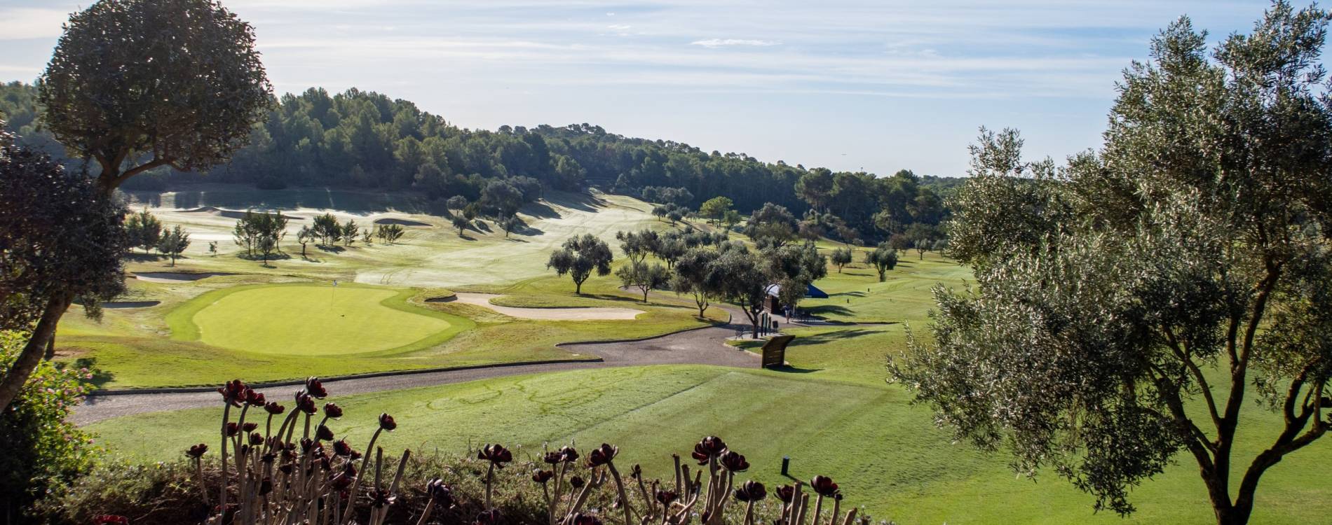 Arabella Golf and Spa Resort Events & Tickets 2024-25 - Palma | Koobit