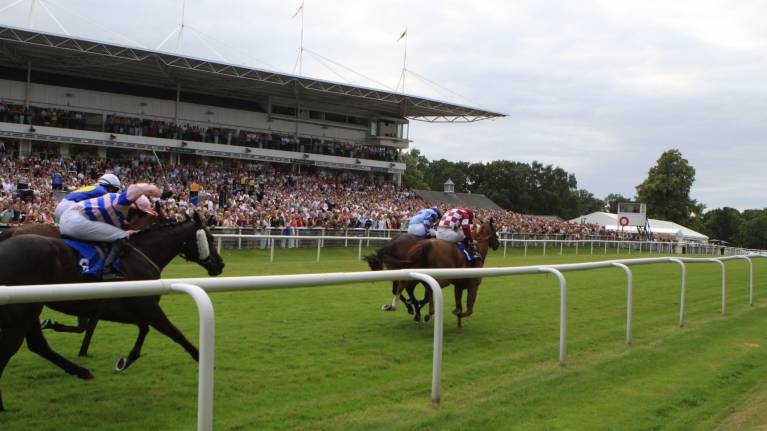 Hamilton Park Racecourse Events & Tickets 2024-25 - Hamilton | Koobit