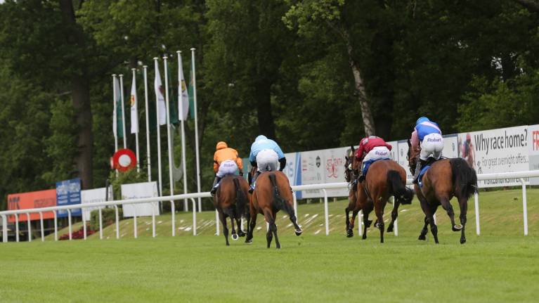 Hamilton Park Racecourse Events & Tickets 2025-26 - Hamilton | Koobit