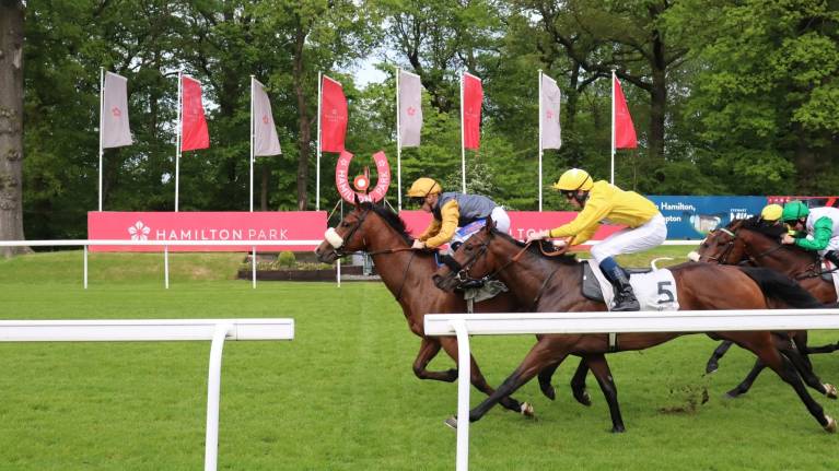 Hamilton Park Racecourse Events & Tickets 2024-25 - Hamilton | Koobit