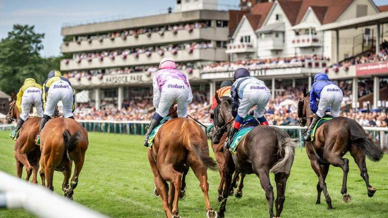 Haydock Park Racecourse Events & Tickets 2025-26 - Newton-le-Willows ...