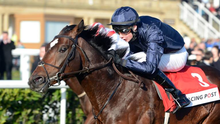 Horse Racing Tickets | Horse Racing Events, Schedule, Race Calendar ...