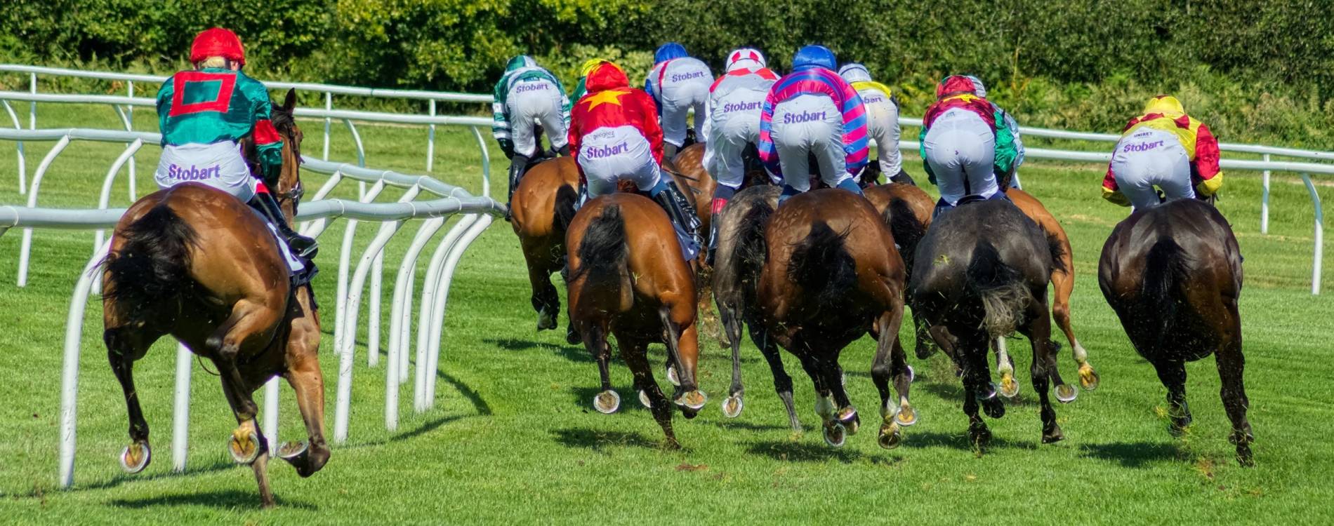 Winter Evening Racing Tickets | 3 Dec 2024 | Newcastle Racecourse | Koobit