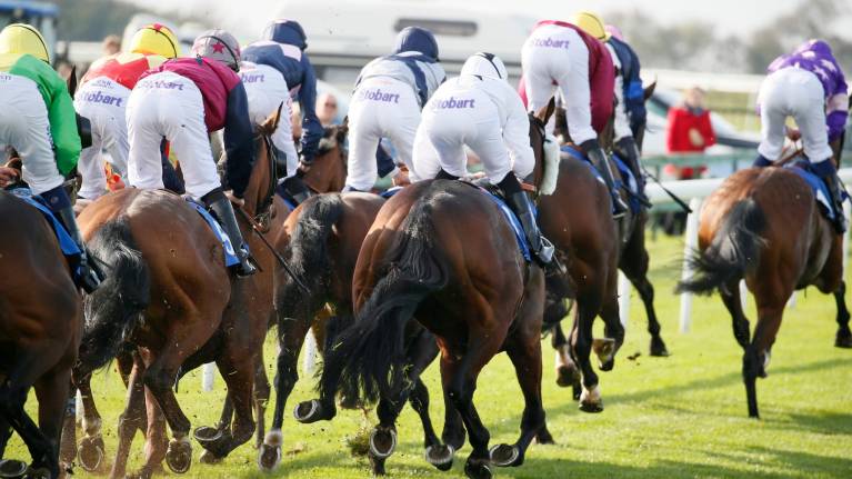 Bath Racecourse Events & Tickets 2025-26 - Bath | Koobit