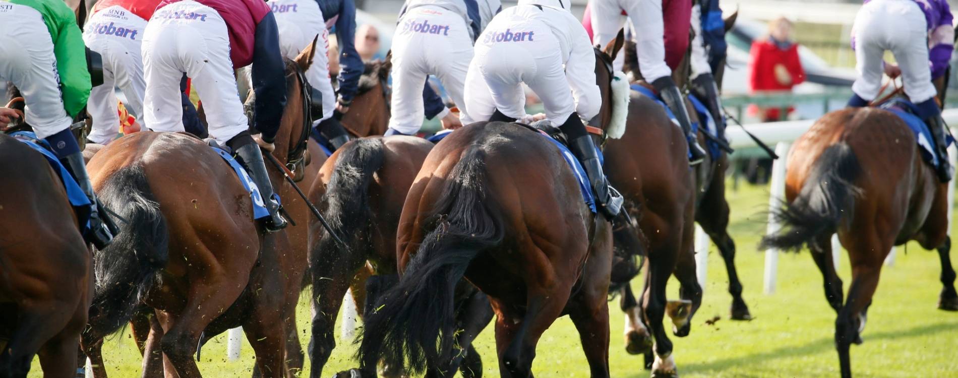 Season Finale Tickets | 30 Oct 2025 | Bath Racecourse | Koobit