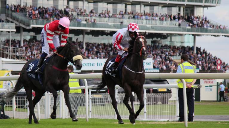 County Stand | May Spring Saturday | May 2025* | York Racecourse | Koobit