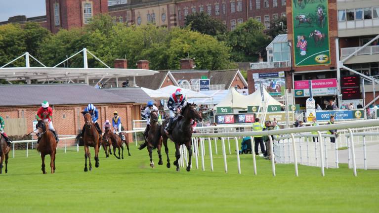 York Racecourse Events & Tickets 2024-25 - York | Koobit