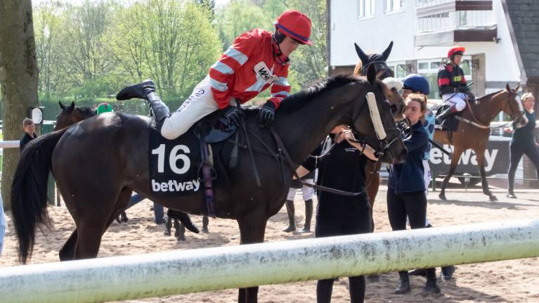 Haydock Park Racecourse Events & Tickets 2025-26 - Newton-le-Willows ...