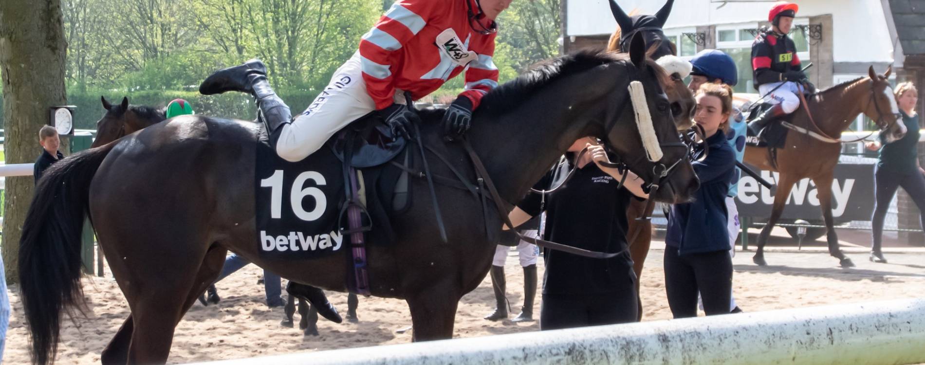 Christmas Afternoon Jump Racing Tickets | 3 Dec 2025 | Haydock Park ...