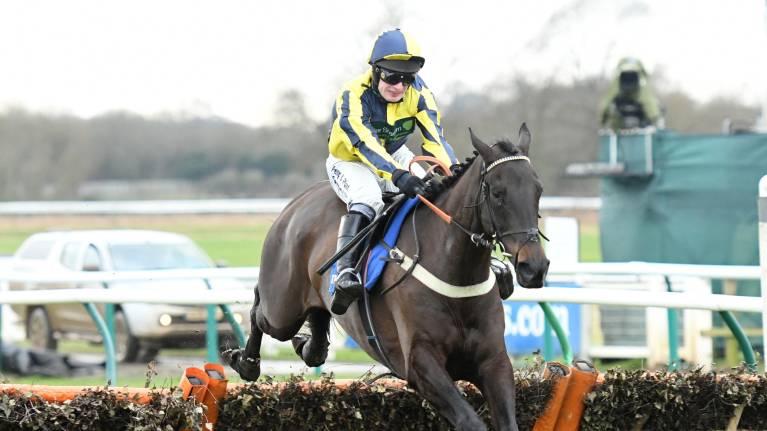 Warwick Racecourse Events & Tickets 2025-26 - Warwick | Koobit