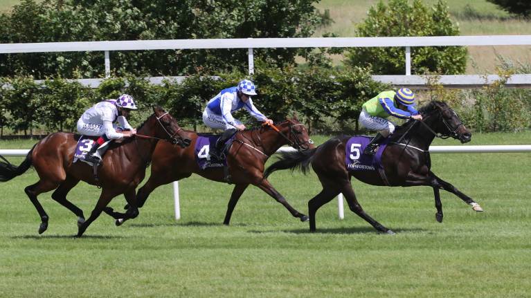 Leopardstown Racecourse Events & Tickets 2025-26 - Dublin | Koobit