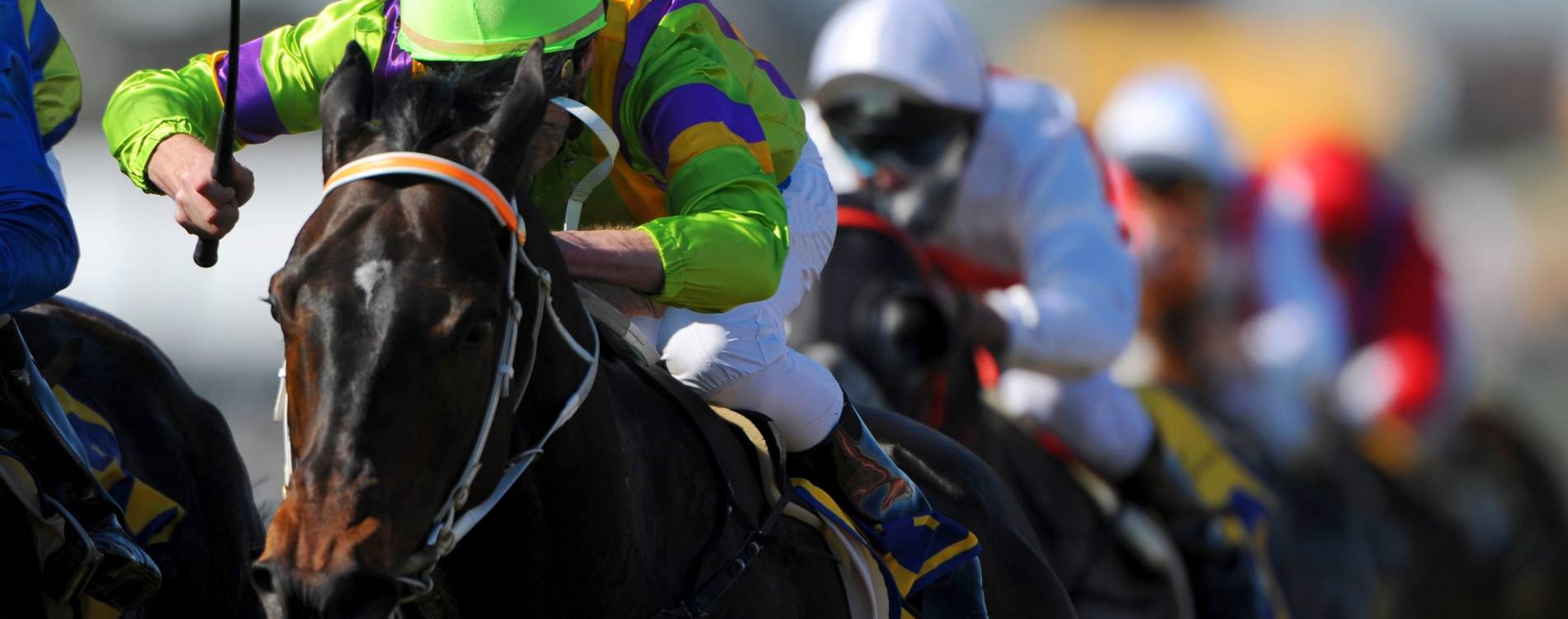 Live Racing Tickets | 24 Oct 2025 | Santa Anita Park | Koobit