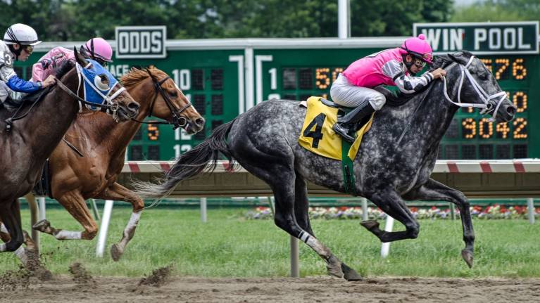 Haskell Day Tickets | 19 Jul 2025 | Monmouth Park | Koobit