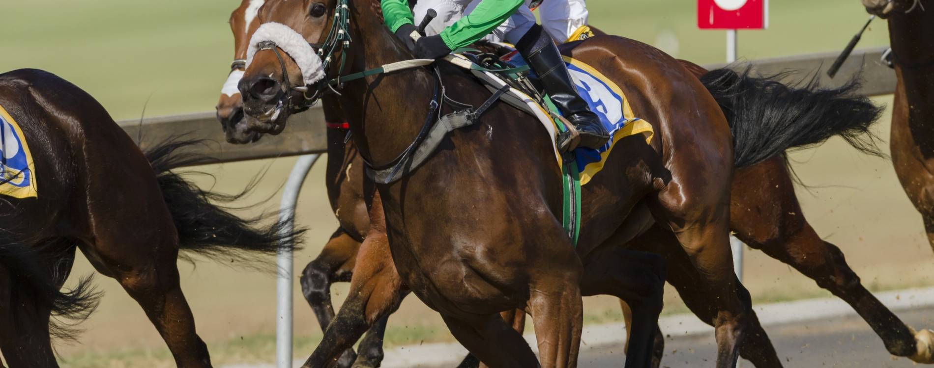 Mornington Season Opener Tickets | 5 Sep 2025 | Mornington Racecourse ...