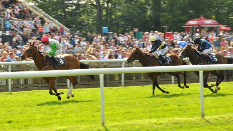 Afternoon Racing Tickets | 27 Jun 2024 | Newmarket Racecourse July ...