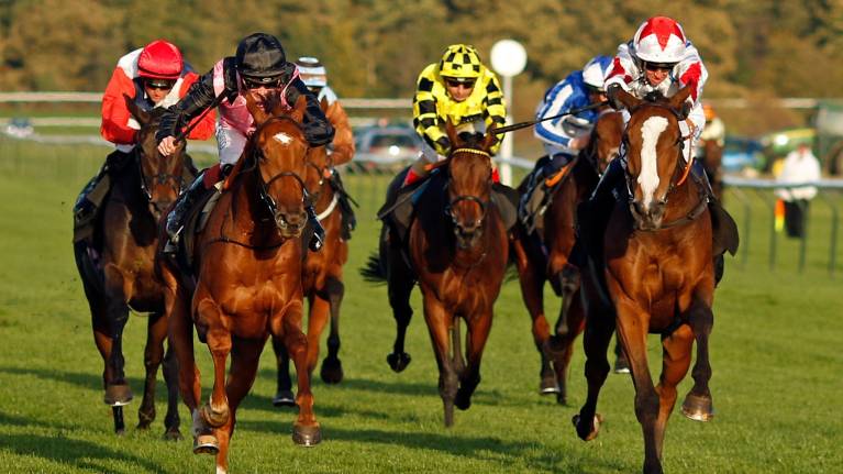 Nottingham Racecourse Events & Tickets 2024-25 - Nottingham | Koobit