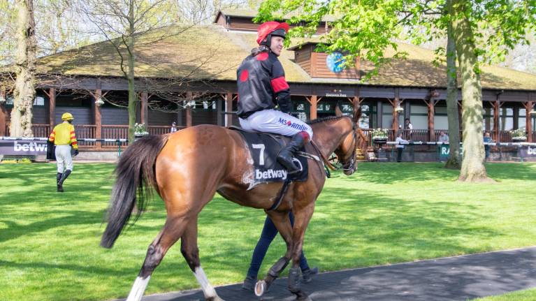 Haydock Park Racecourse Events & Tickets 2024-25 - Newton-le-Willows ...