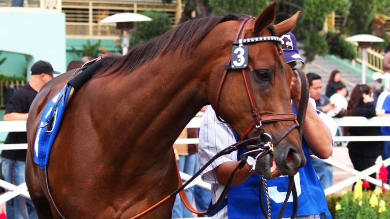 Santa Anita Handicap Day Tickets | 1 Mar 2025 | Santa Anita Park | Koobit