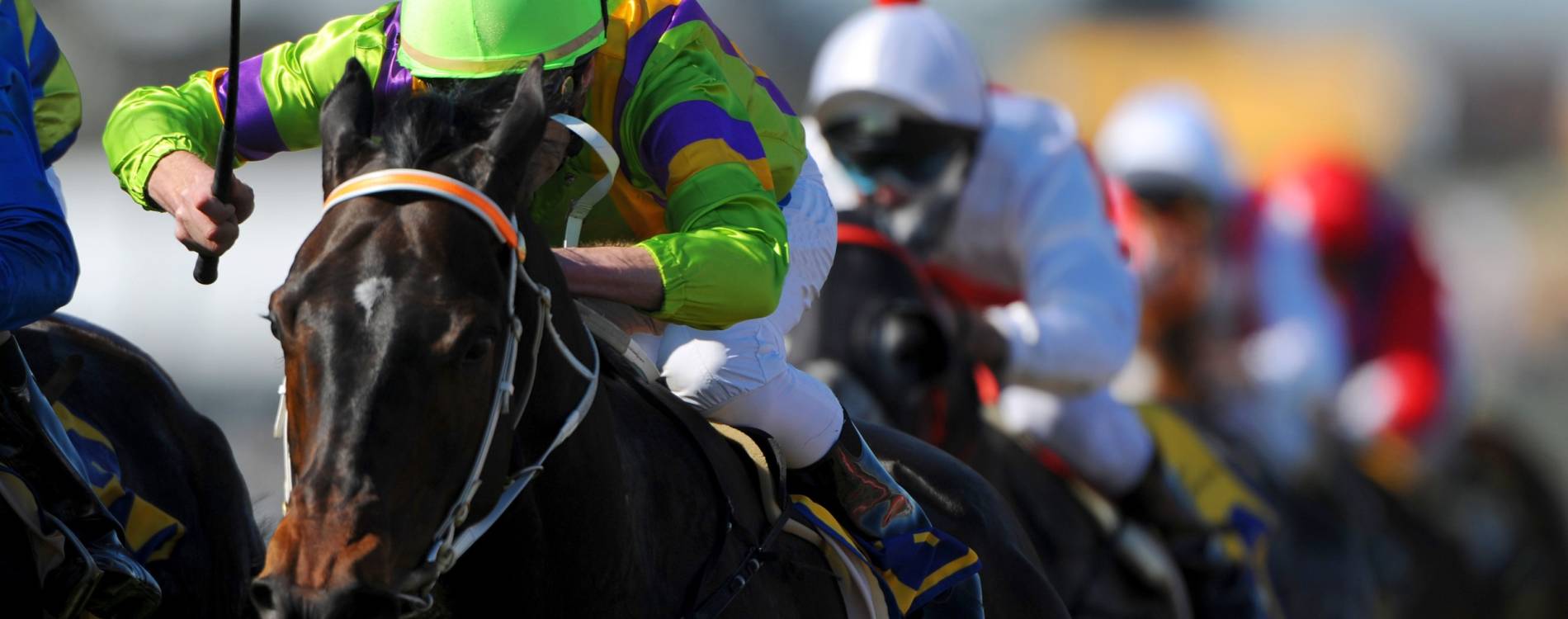 Punchestown Festival Tickets | Apr - May 2027* | Punchestown Racecourse ...