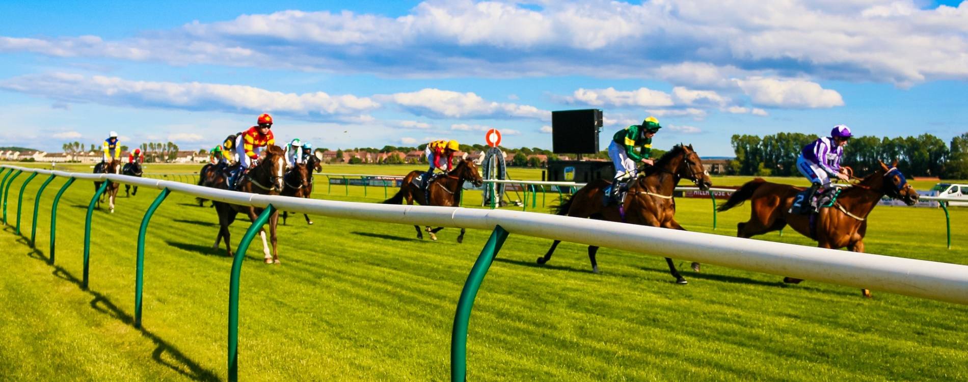 July Racing Weekend Tickets | 7-8 Jul 2024 | Ayr Racecourse | Koobit