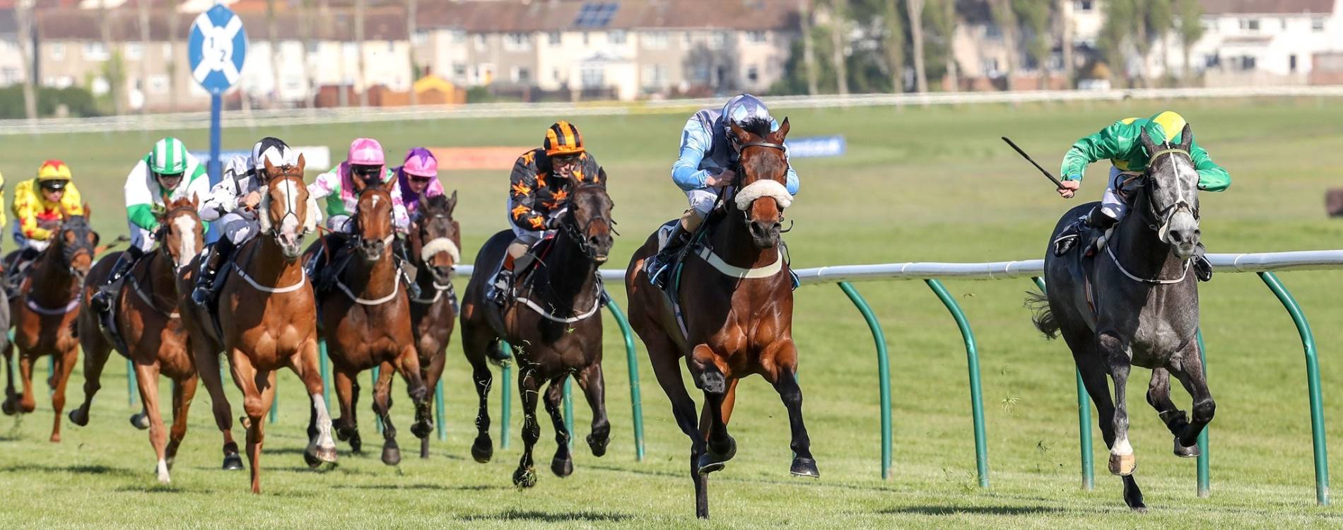 Tennent’s Raceday Tickets | 28 Jul 2025 | Ayr Racecourse | Koobit