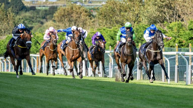 Brighton Racecourse Events & Tickets 2025-26 - Brighton | Koobit
