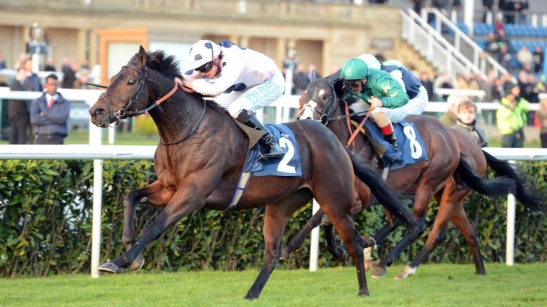 Doncaster Racecourse Events & Tickets 2025-26 - Doncaster | Koobit