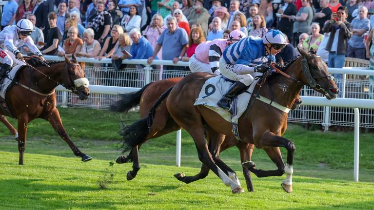 Horse Racing Tickets | Horse Racing Events, Schedule, Race Calendar ...