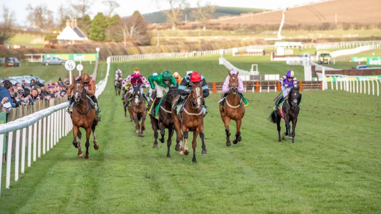 General Admission | May Racing | 8 May 2024 | Kelso Racecourse | Koobit
