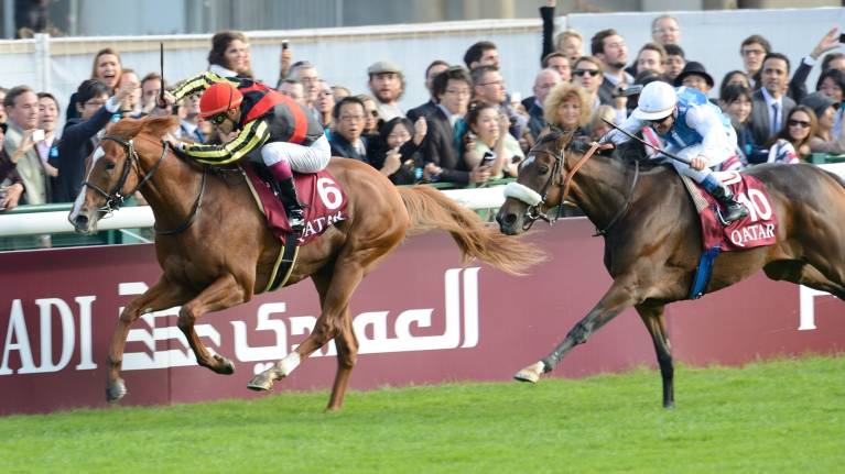 Hippodrome de Longchamp Events & Tickets 2025-26 - Paris | Koobit