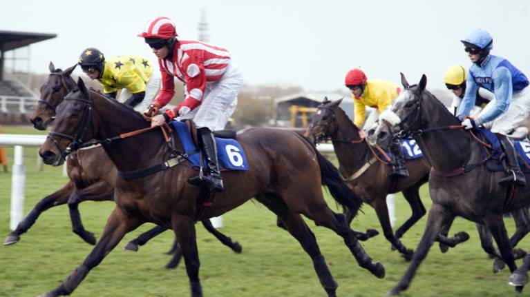 Newbury Racecourse Events & Tickets 2025-26 - Newbury | Koobit