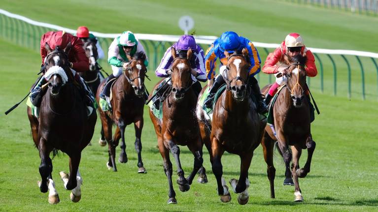 Cambridge Horse Racing Tickets | Cambridge Horse Racing Events ...