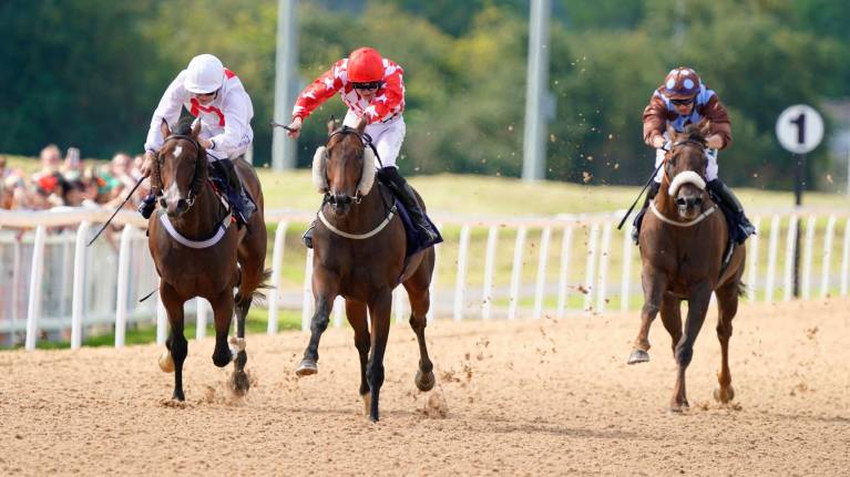 Southwell Racecourse Events & Tickets 2025-26 - Southwell | Koobit