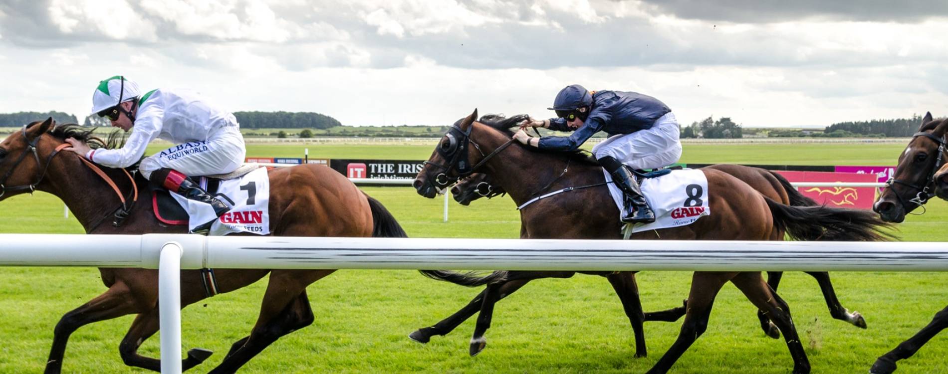 Future Champions Day Tickets | 17 Aug 2024 | The Curragh Racecourse ...