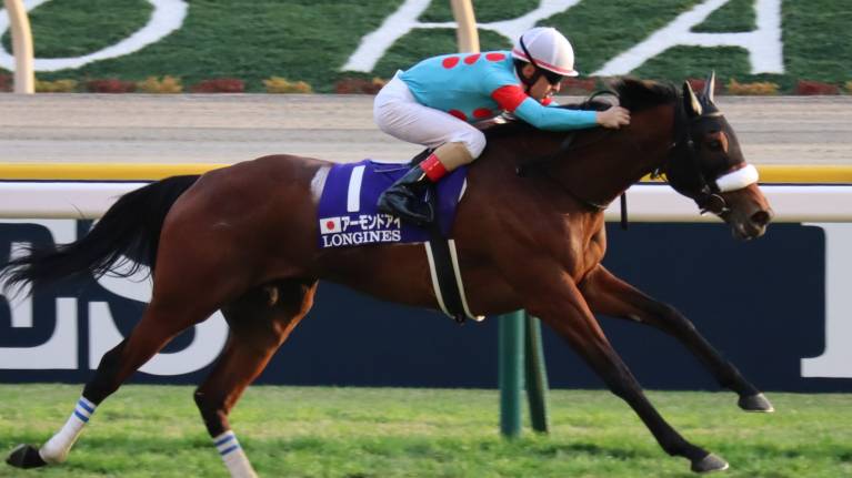 Tokyo Racecourse Events & Tickets 2025-26 - Tokyo | Koobit
