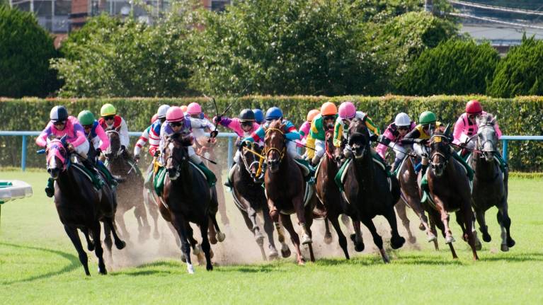 Horse Racing Tickets | Horse Racing Events, Schedule, Race Calendar ...