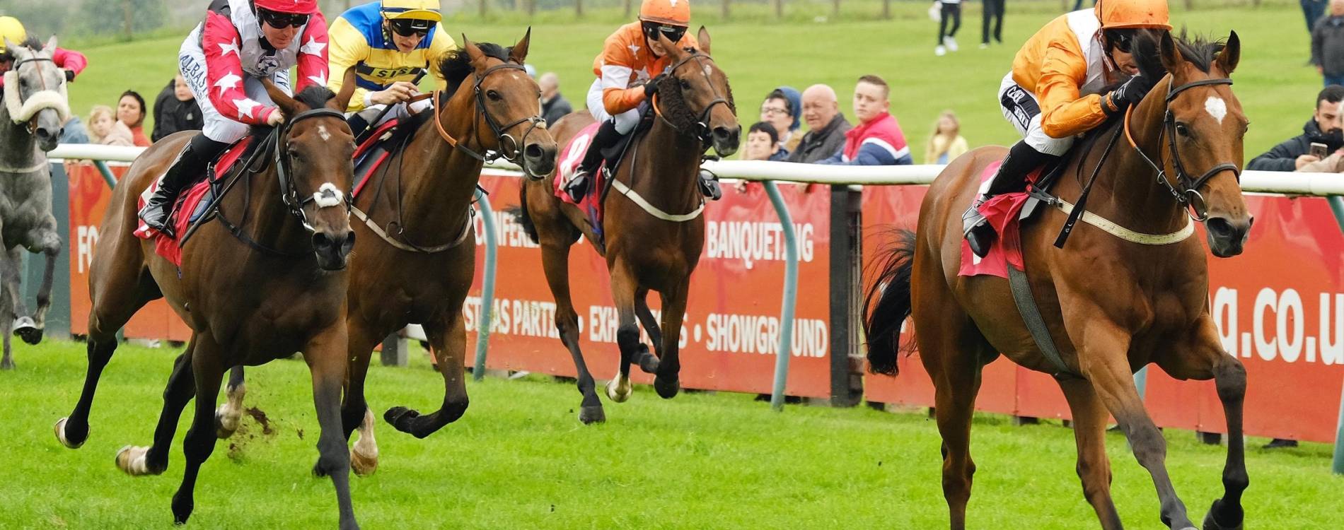 November Raceday Tickets | 5 Nov 2024 | Redcar Racecourse | Koobit