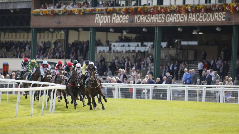 Ripon Racecourse Events & Tickets 2025-26 - Ripon | Koobit