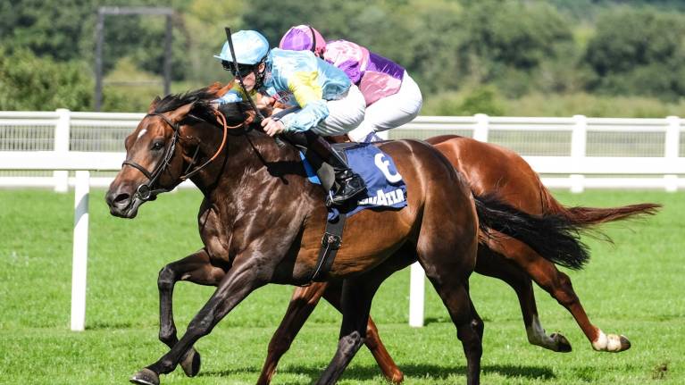 May Racing Weekend featuring Victoria Cup Day Tickets | 8-9 May 2026 ...